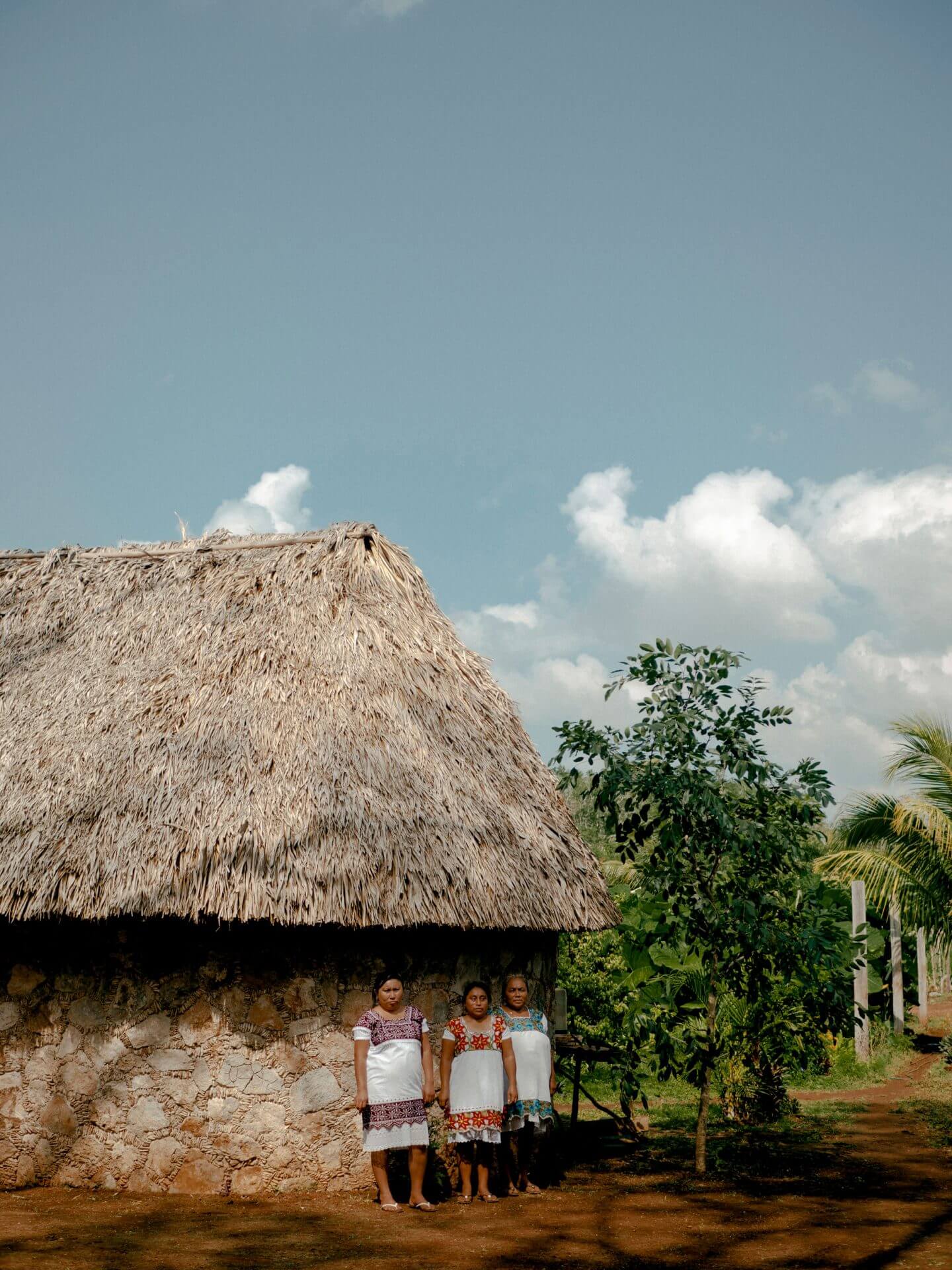 Mestiza de Indias: Regenerating the Yucatán – Slow