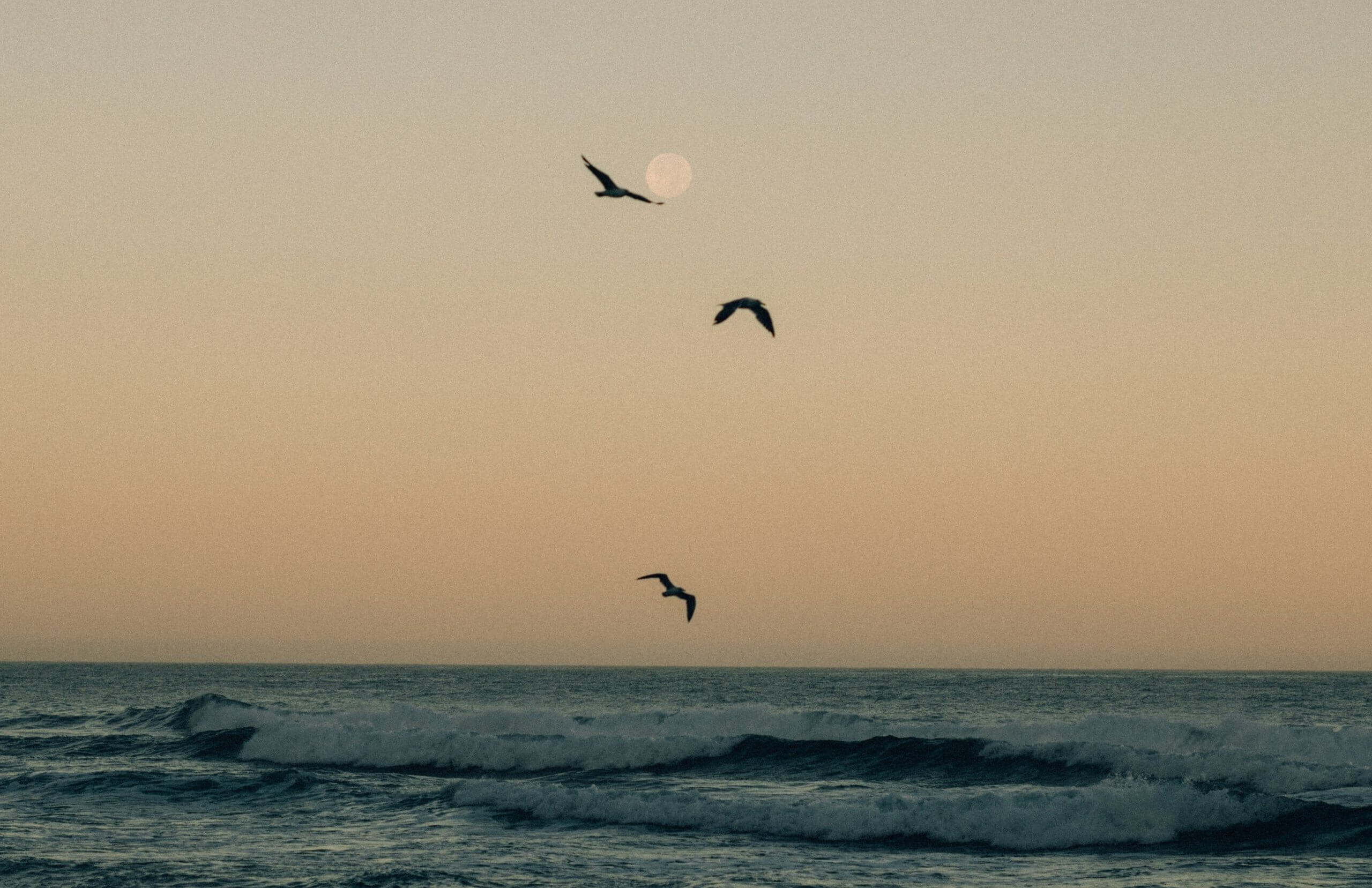 Slow Pilgrimage: Only the Murmur of the Sea – Slow