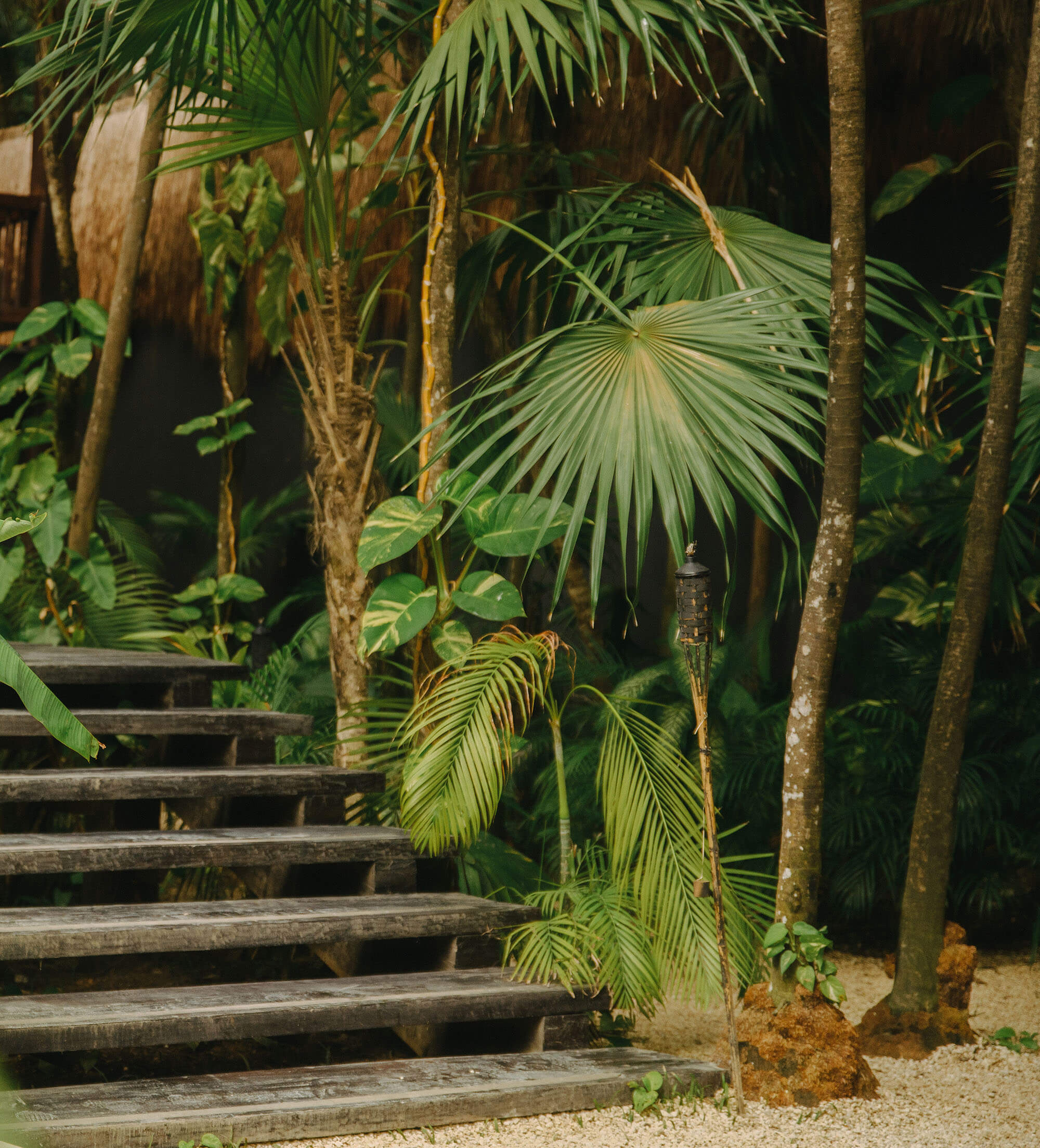 Slowness – Cultivating arts, crops and inner gardens